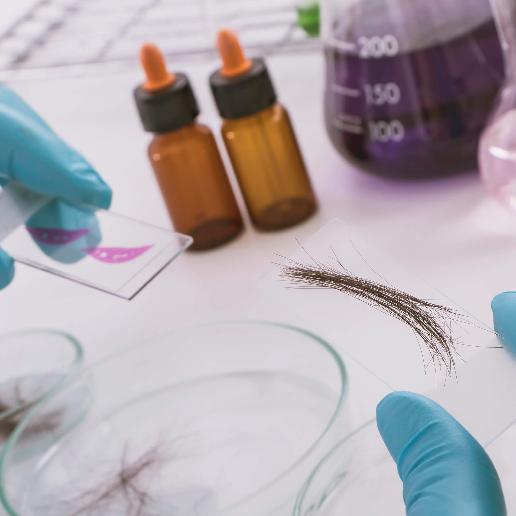 Forensic DNA Test (Autosomal STR) - International Paternity